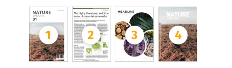 Prepress— all you need to know about imposition and nesting