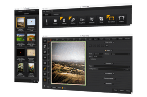 What is a RIP software?