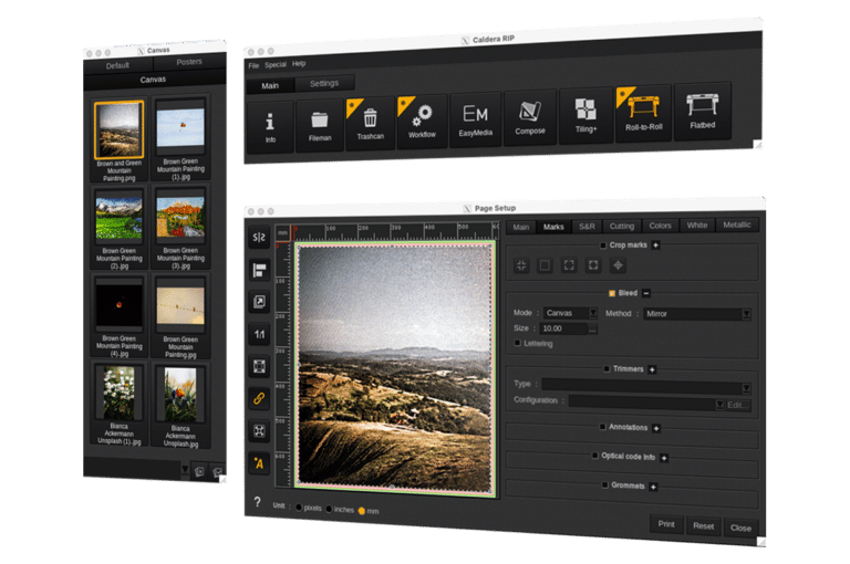 什么是RIP 软件？